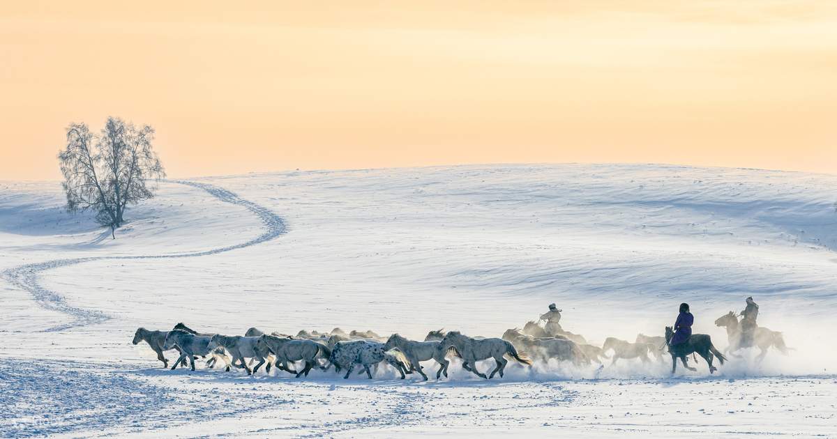 [Meet Ulanbutong Winter·Ice and Snow Carnival 5 Days] Beijing+Saihanba ...